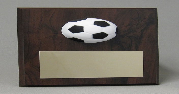 Sports ball plaques | Rainbow Creations